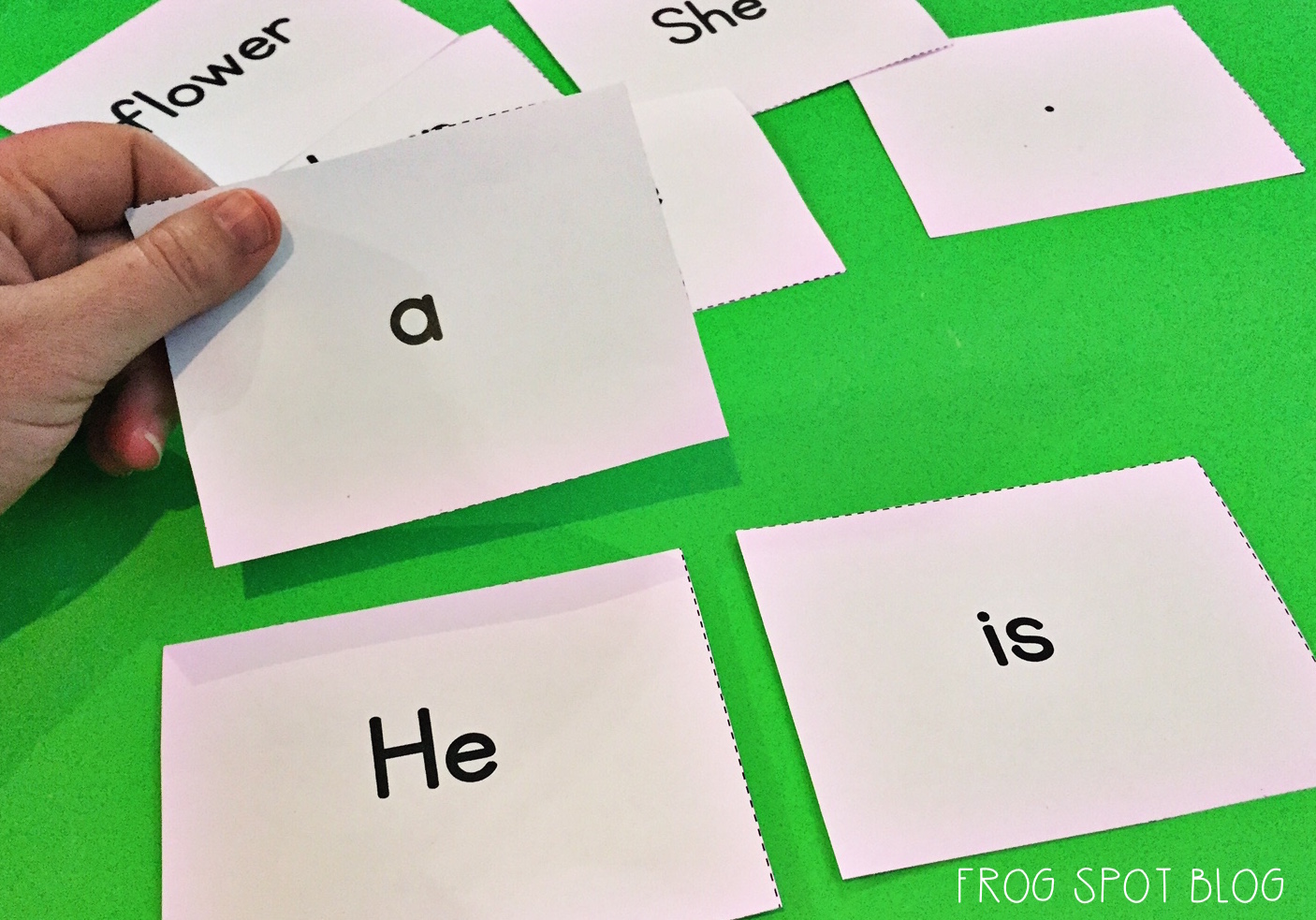 Week of Writing | From the Pond