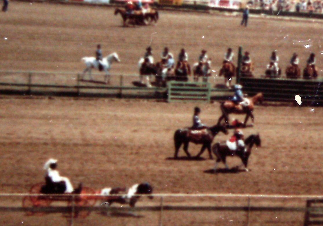 An Ordinary Chinese: January 2018