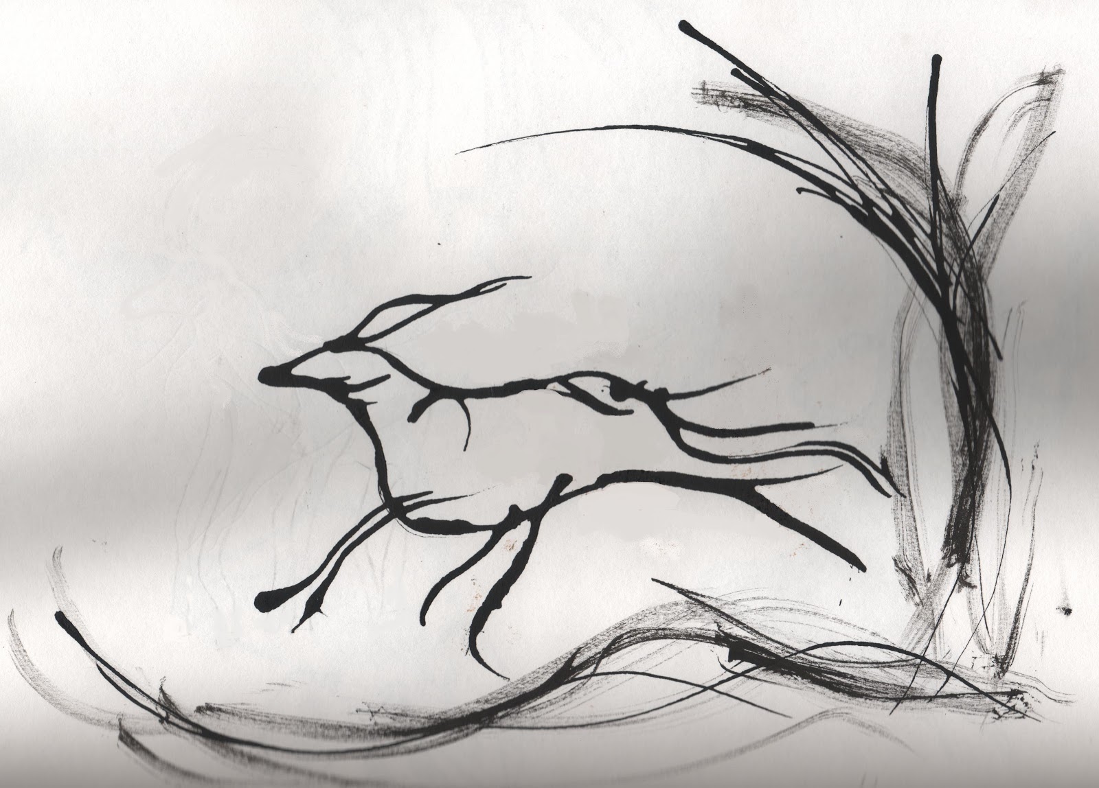 Paige Nicole: Antelope Line Drawings