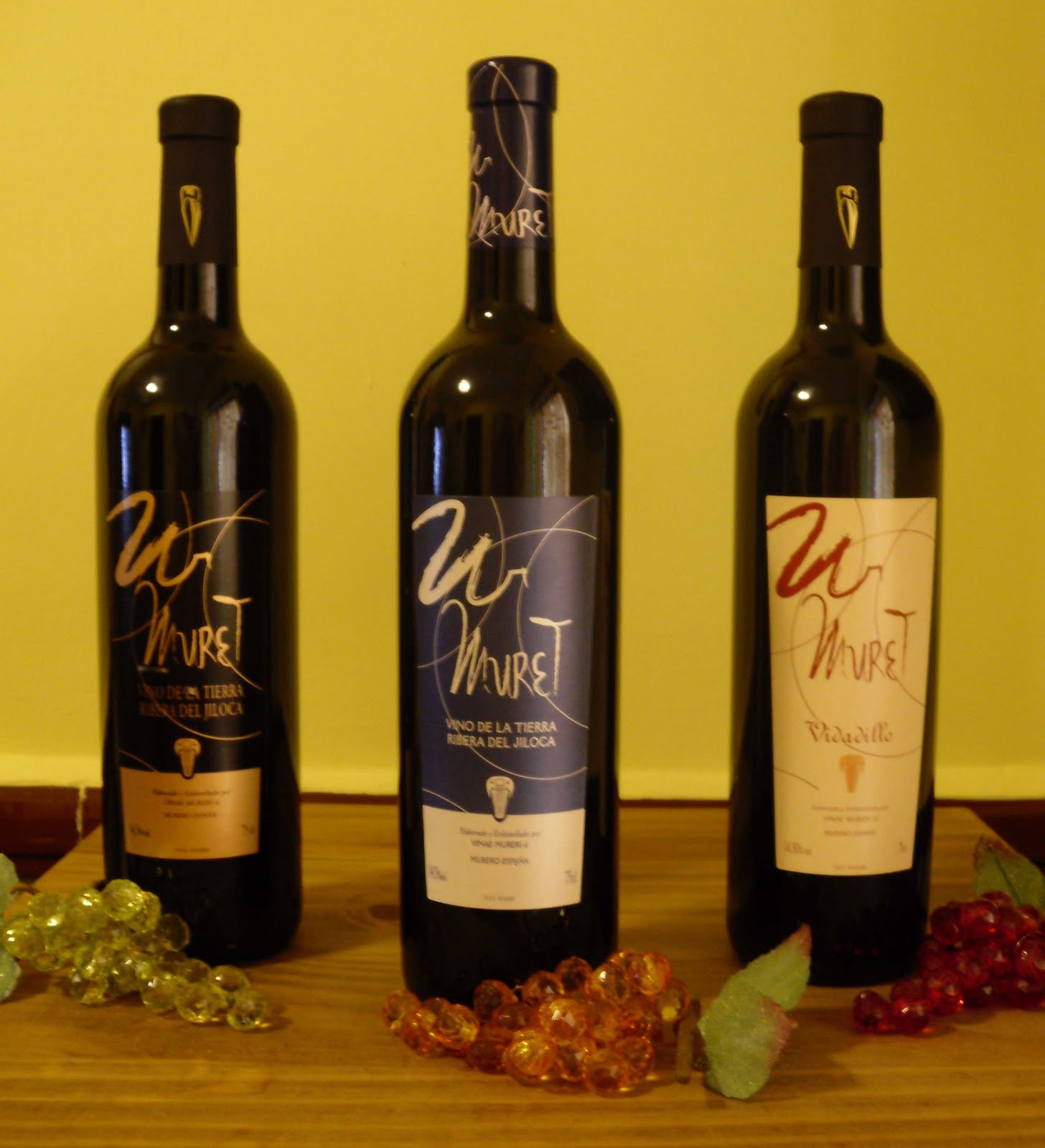 Over the Wine: CATA DE LOS VINOS DE BODEGAS VINAE MURERI