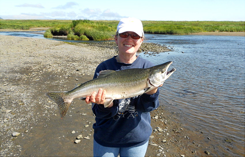 From Kansas to Kodiak...: Buskin River Salmon Fishing with the Bears