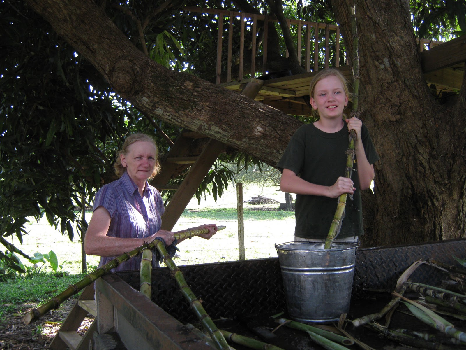 Pioneer Home: Making sugar cane syrup, the old-fashioned way