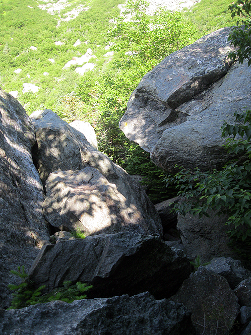 Hiking in the White Mountains: 'The Beasts of the East' ~ Huntington ...