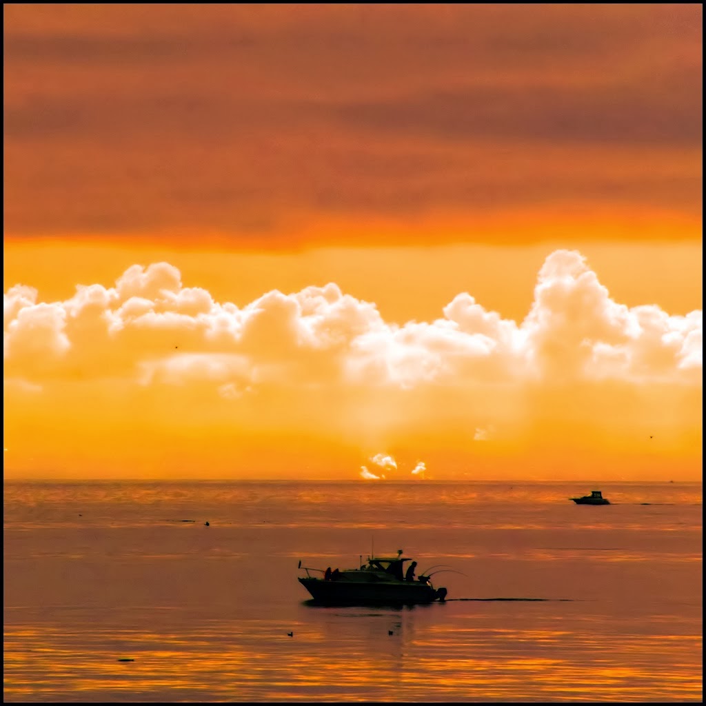 Megan's Phototography Blog: Photo Composition