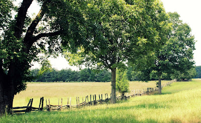 RURAL GEORGIA ROAD TRIP | Suzanne MacCrone Rogers • Italian Girl in ...