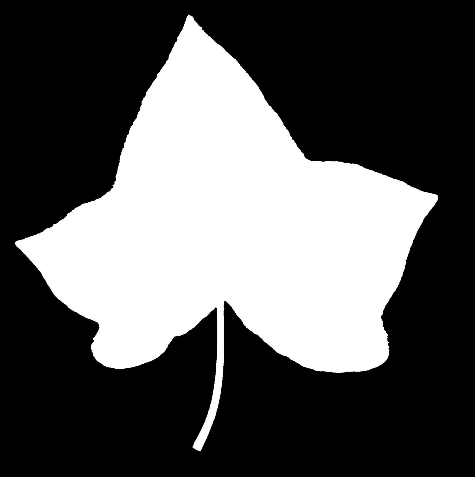 HIGH RESOLUTION TEXTURES: Leaf Textures