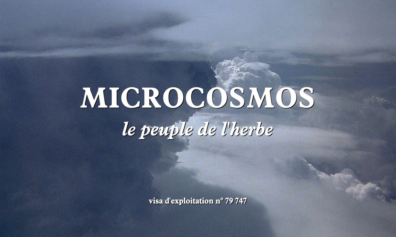 The Beautiful Film Frames: Microcosmos (1996) Blu-Ray Screenshots