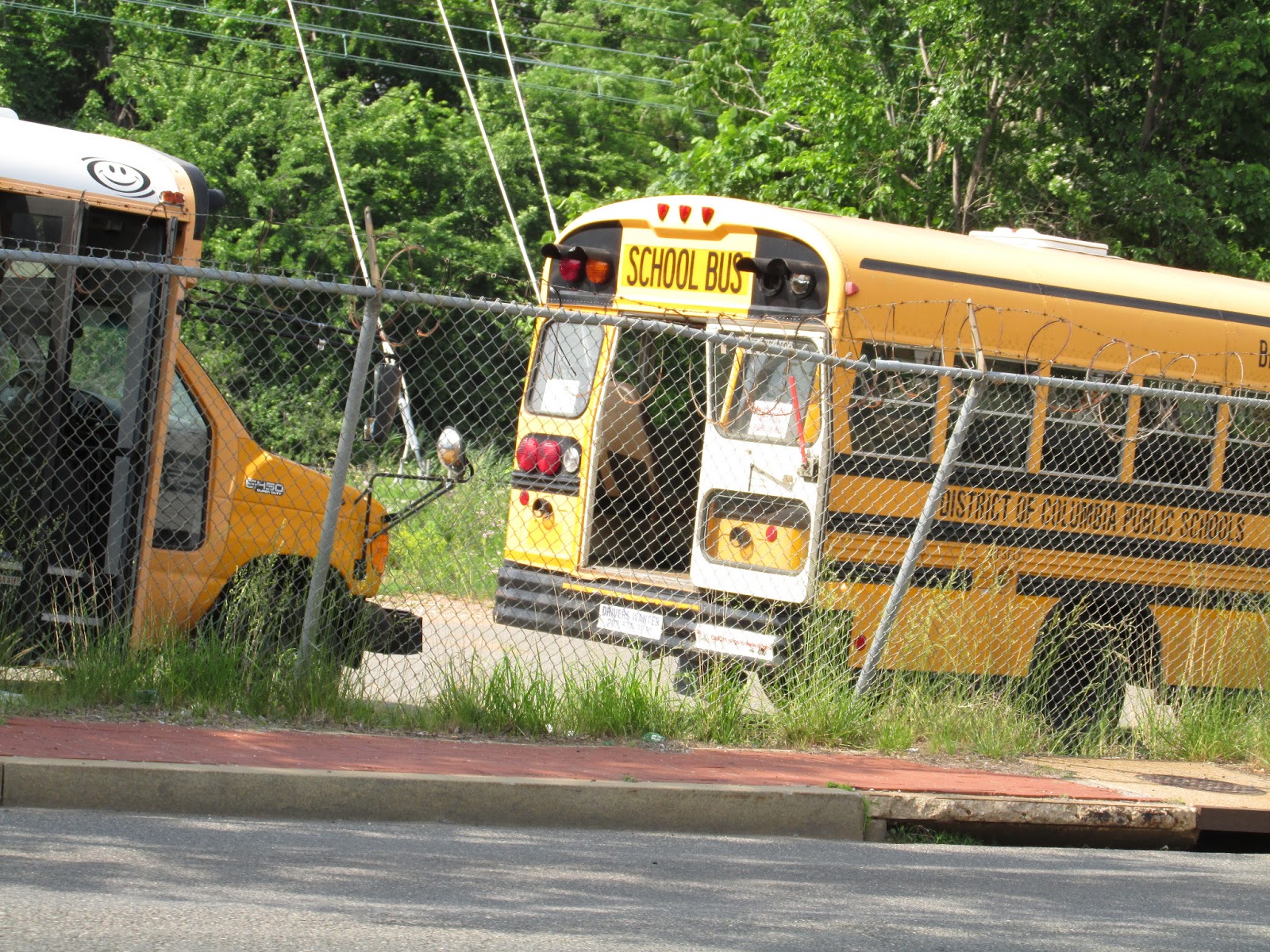 Stuff: Battered school buses? Fender-bendered children?