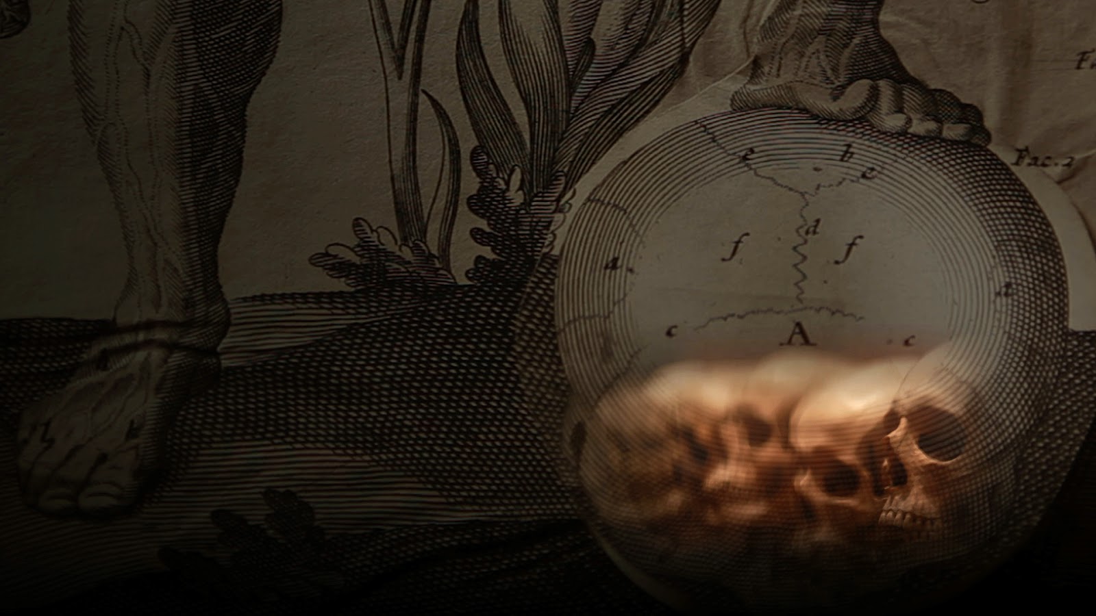 Through gradually tightening avenues I felt the ecstasy of something ...