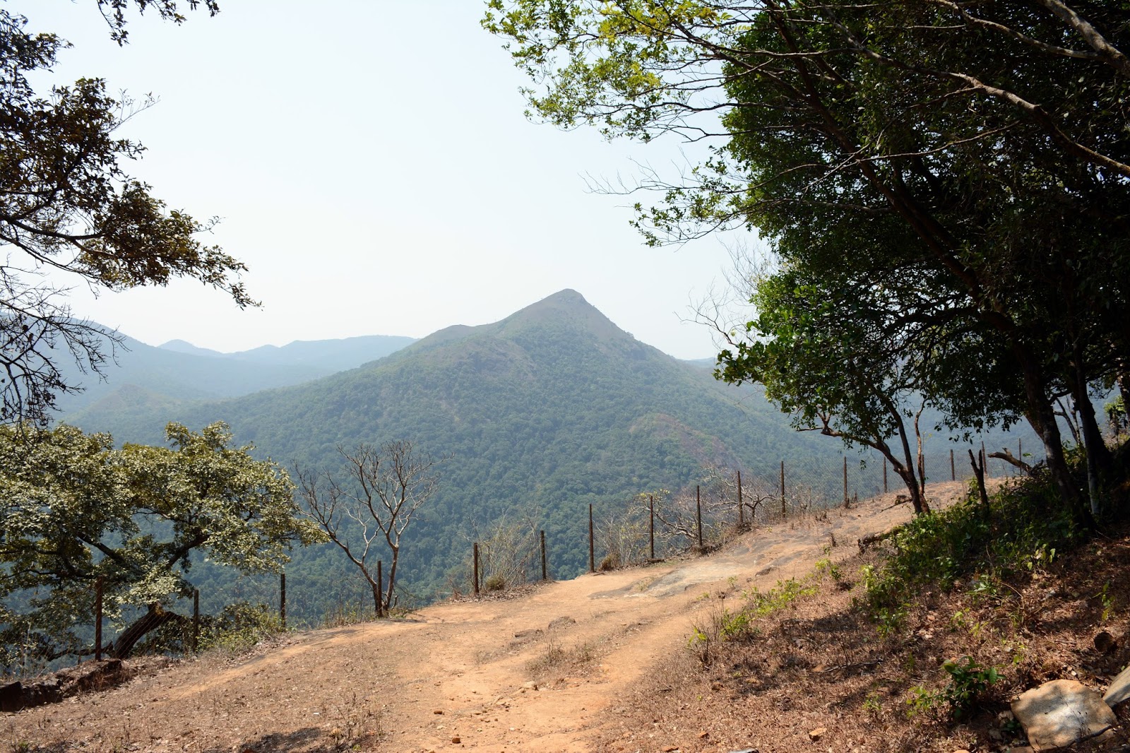 Our Travel Tales: Bisle Ghat Viewpoint