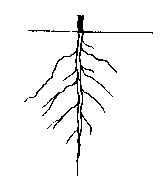 modular architecture: Fast and effective footing influenced by Mother ...