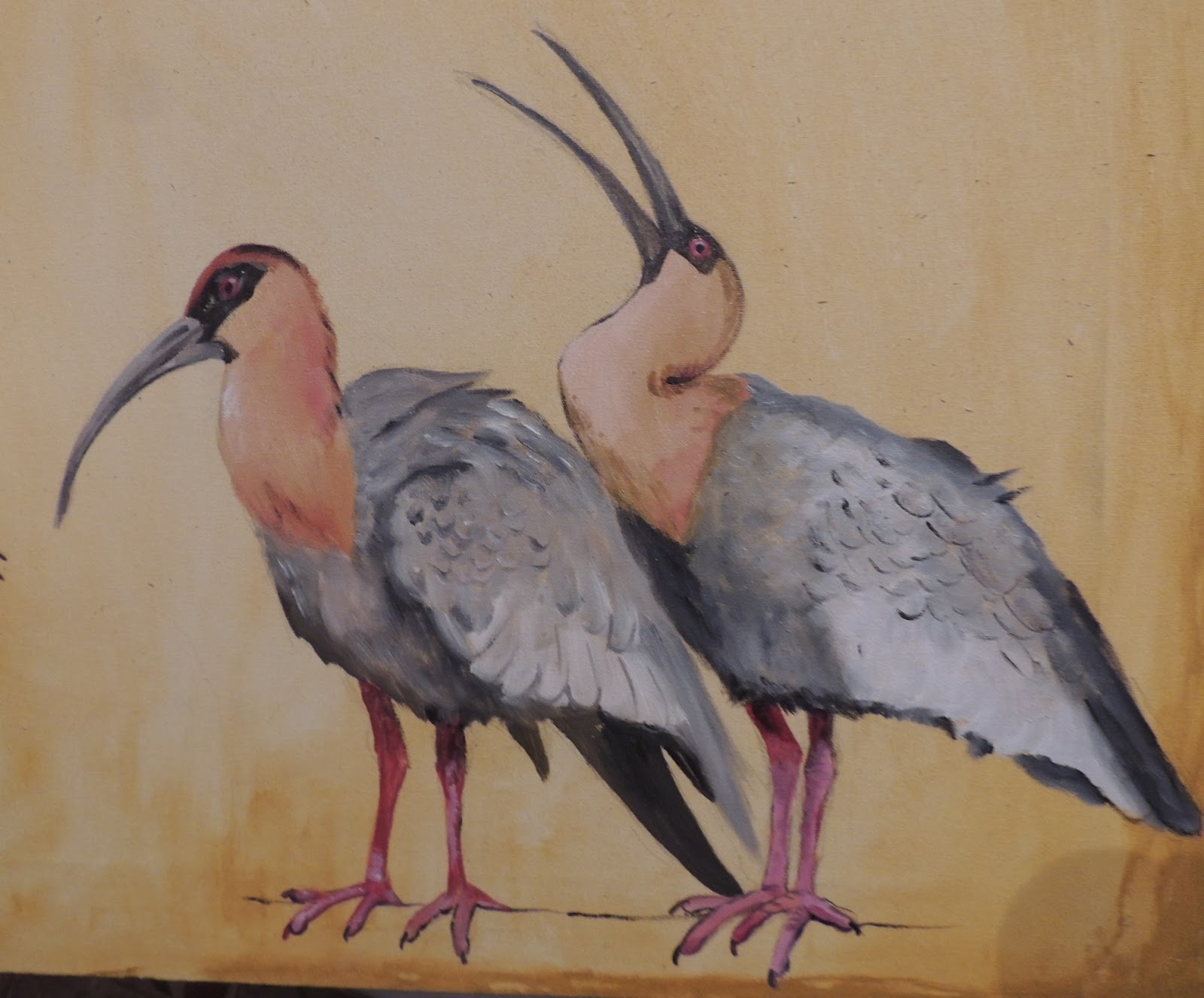 Observando Aves: Curucacas avançando aos centros urbanos