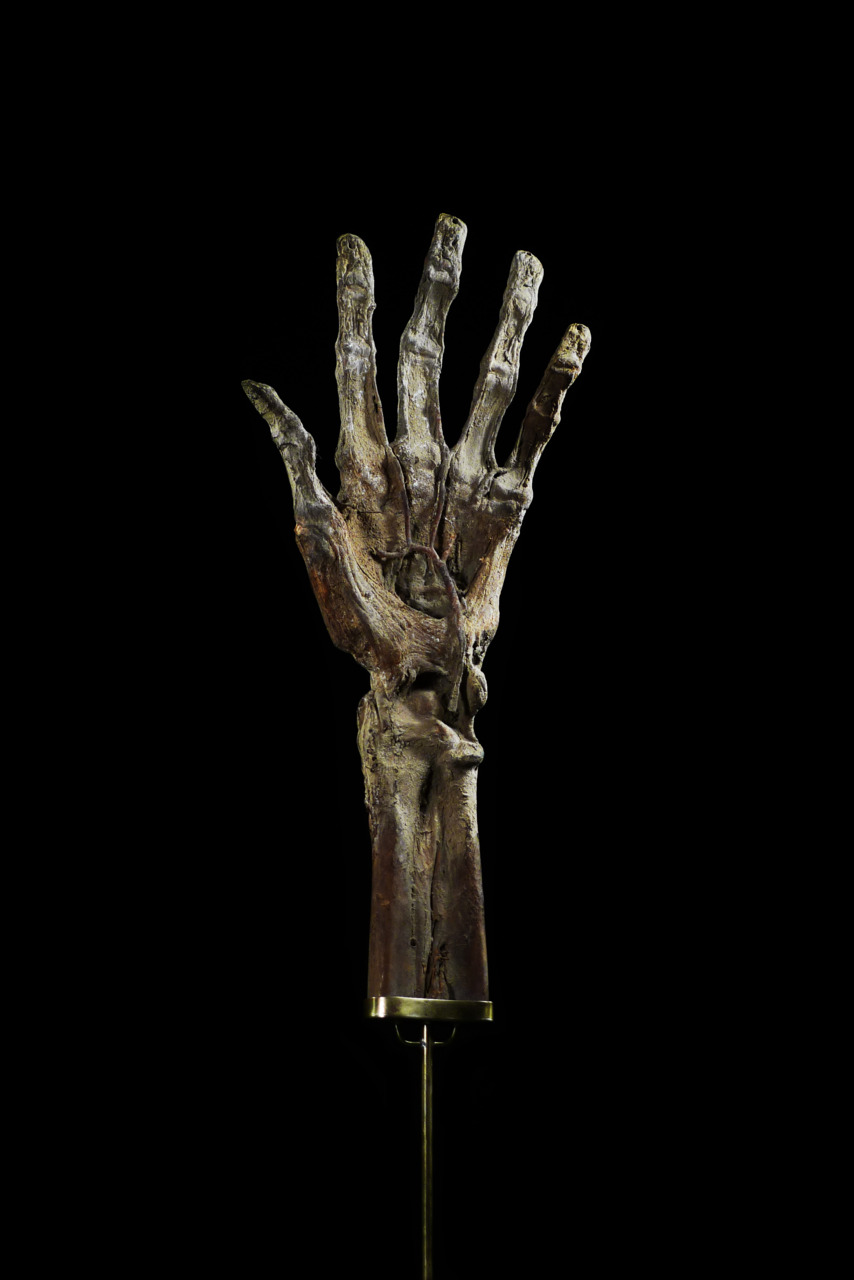 “Curiouser and curiouser!”: Ryan Matthew Cohn