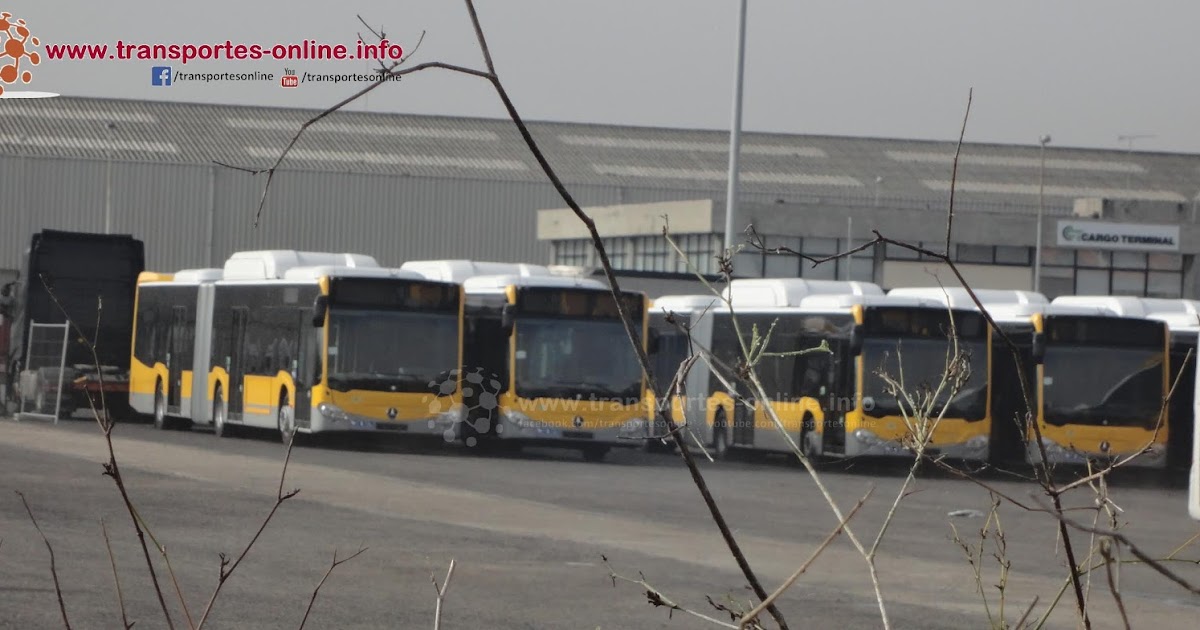transportes online: Carris - novos autocarros Mercedes Citaro a gás natural