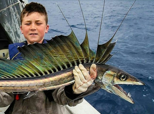 5 PARA TODO: Los 5 peces más extraños atrapados por pescadores