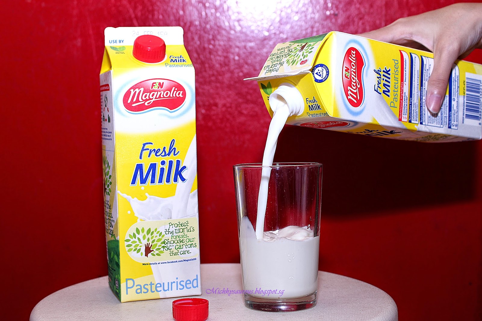 EAT.SHOP.PLAY - Michhysaurous: Grow Greatness with F&N Magnolia Milk