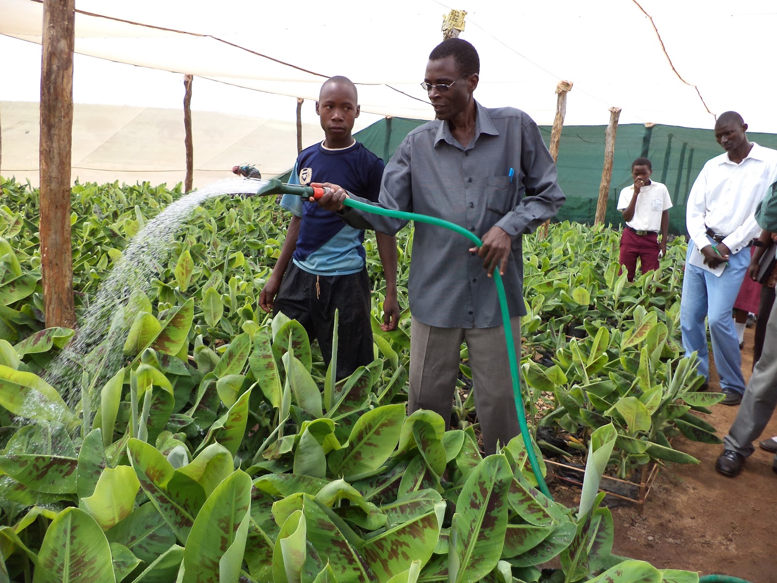 HANDENI KWETU: Kilimo cha kisasa wilayani Handeni