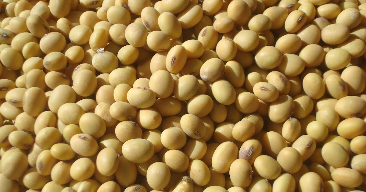 Recetas Saludables con Vegetales: SOYA (SOJA)