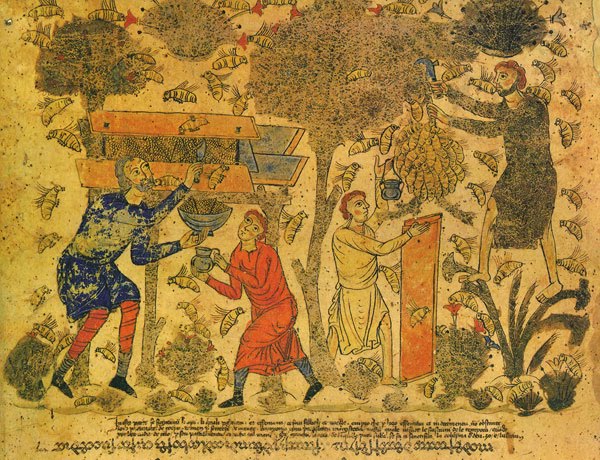 Willowbrook Park: Exultet...