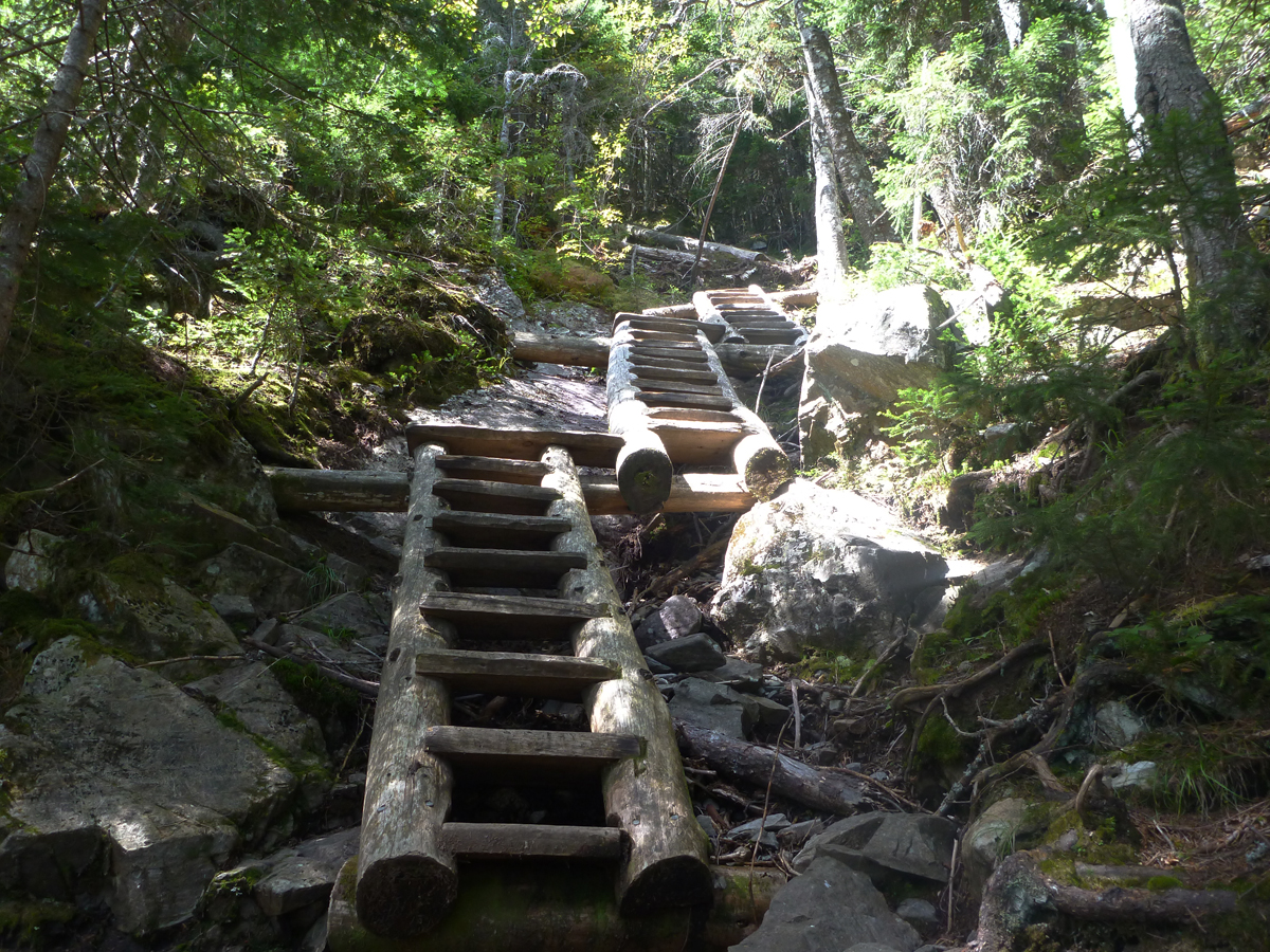 White Mountain Sojourn: 8-24-13: Zealand Notch, The Pemi, and the ...