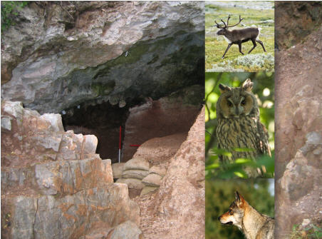 Geology in the West Country: Ice Age in Ebbor Gorge, Mendip Hills
