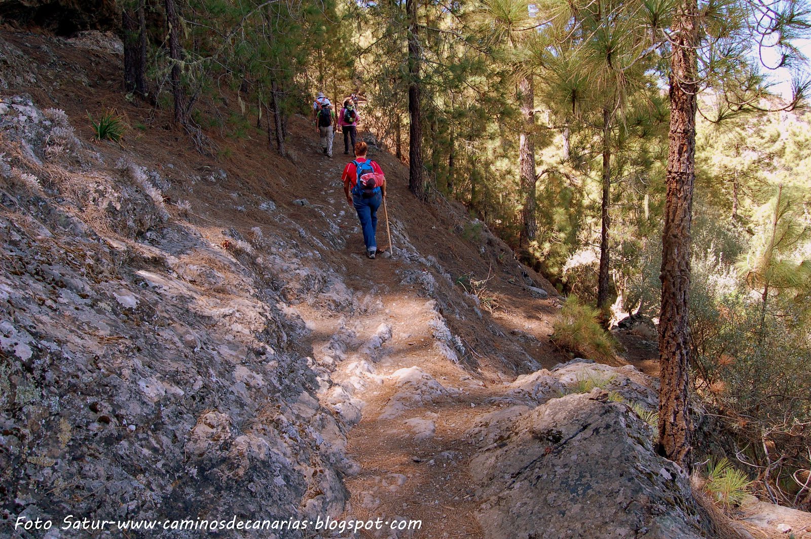 Camino Cruz de Acusa el Risco de Agaete. - Caminos de Canarias