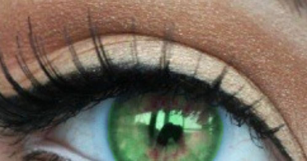 10 Eyeshadow Tips Everyone Should Know