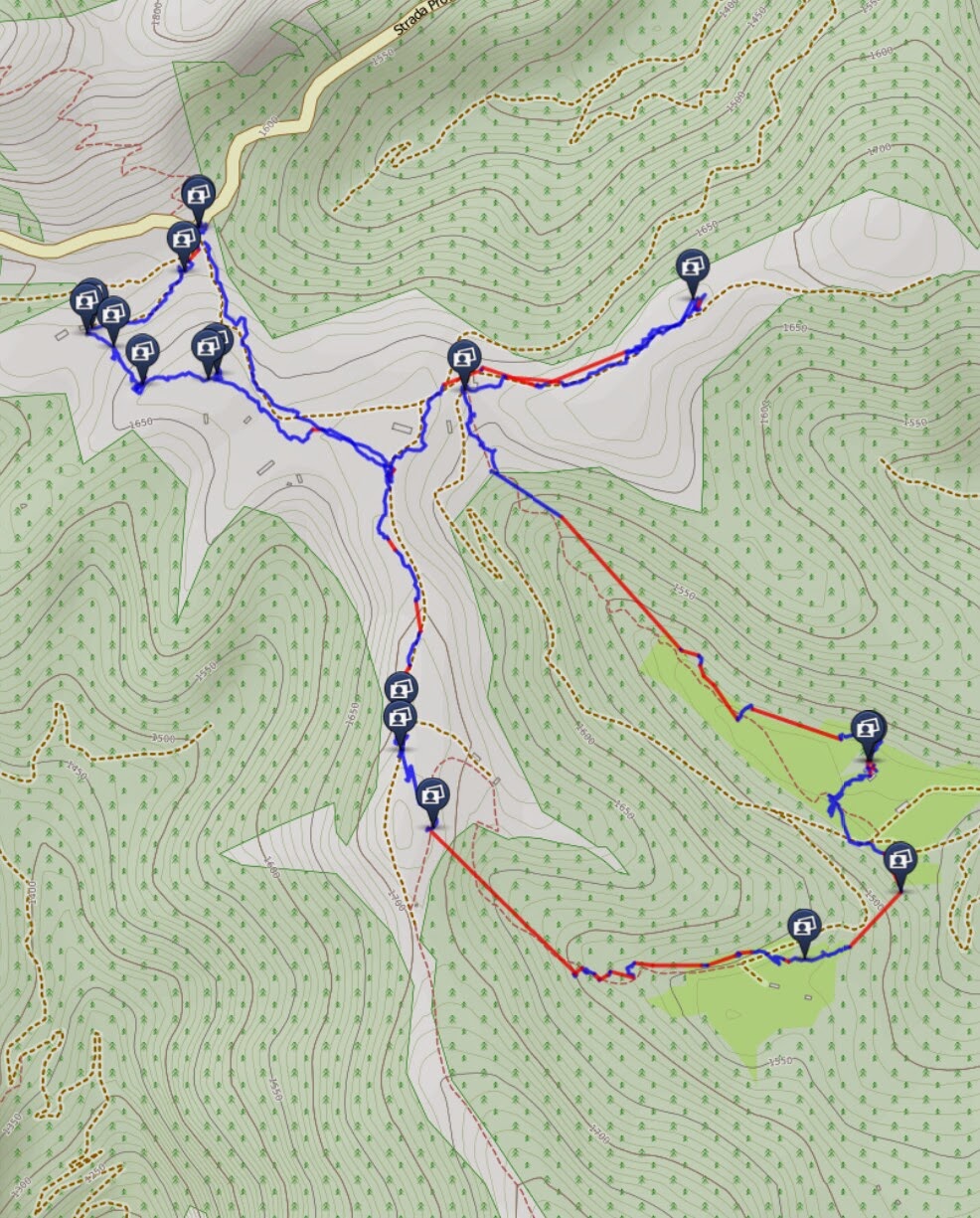 Centro di Educazione Ambientale LEGAMBIENTE DOLOMITI: Escursione a ...