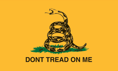 19th Ward Chicago: The Gadsden Flag explained