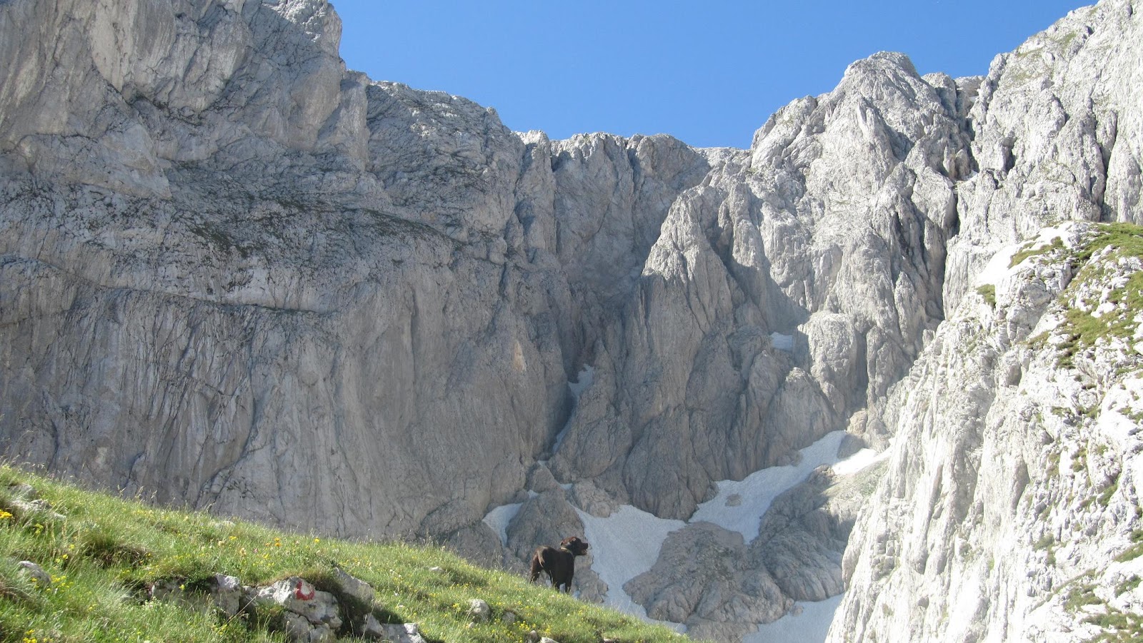 Luna chocolate lab sweeter than a chocolate: Alpski bivak & Debeli ...