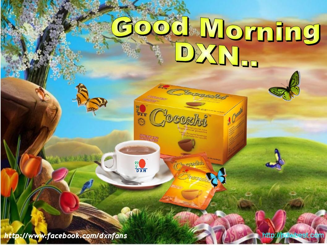 Welcome to the DXN Fans Blog