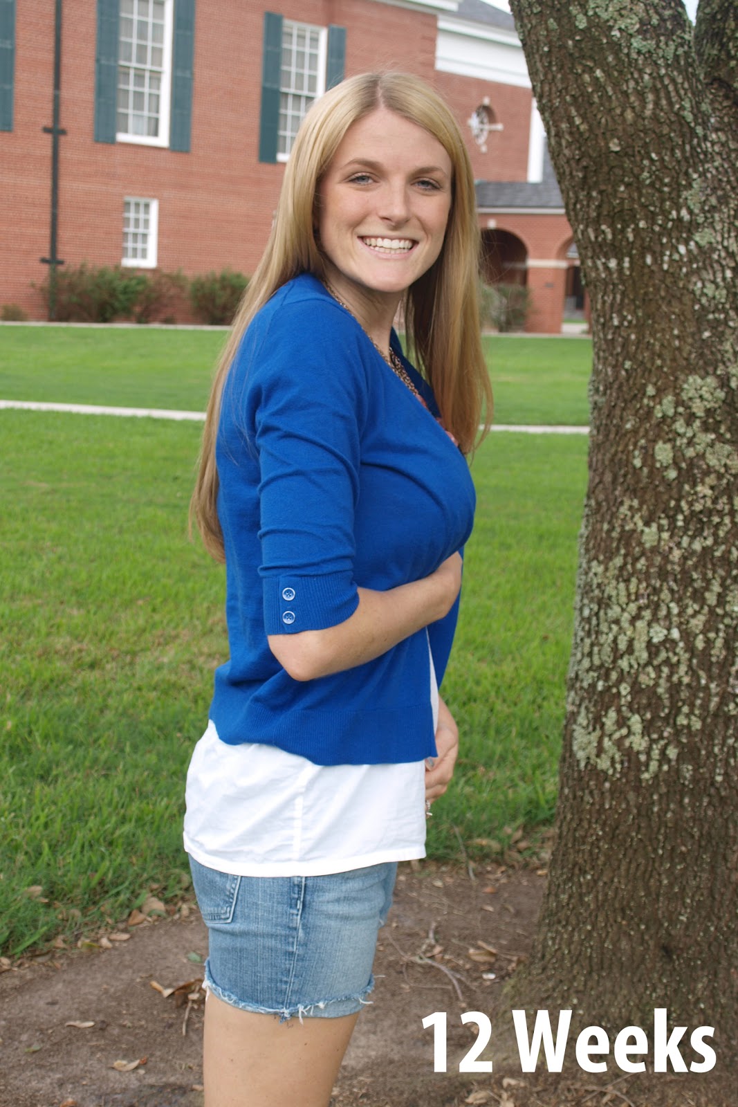 Our Life on a Budget...: 12 weeks...