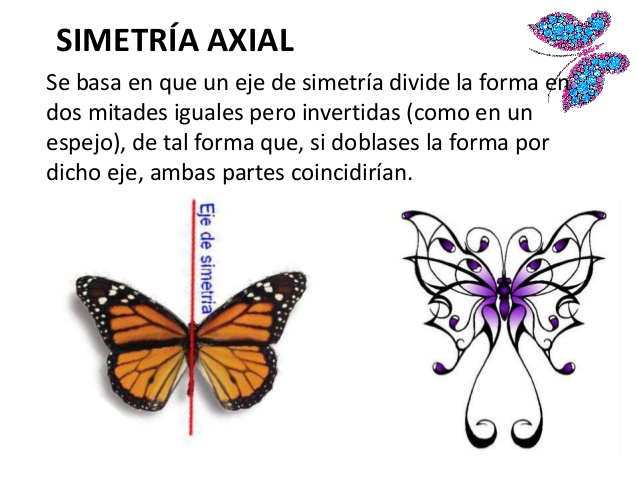 ¿Qué Es La Simetría Radial? _ Simetría central – TQKU