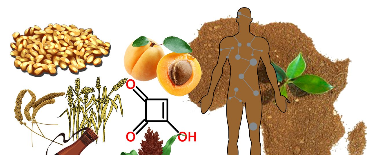 Nile Valley Medicine: African Herbal Supplement at Nile Valley Medicine