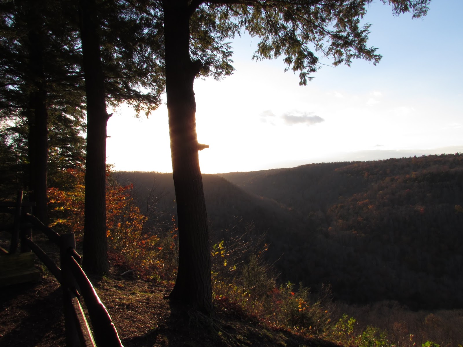 Loyalsock Canyon Vista, Worlds End State Park, Sullivan County, PA ...