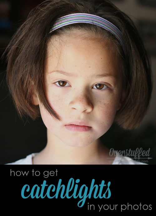 Catching the Light: How to Get Catchlights in Your Photos - Overstuffed