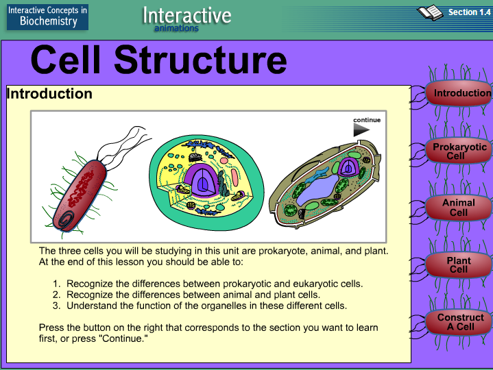 Crea y aprende con Laura: 21 Interactive Cells