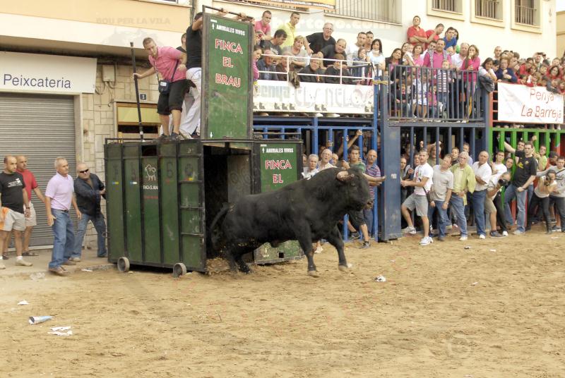 ESPAI TAURÍ: Sant Antoni. Moncofa