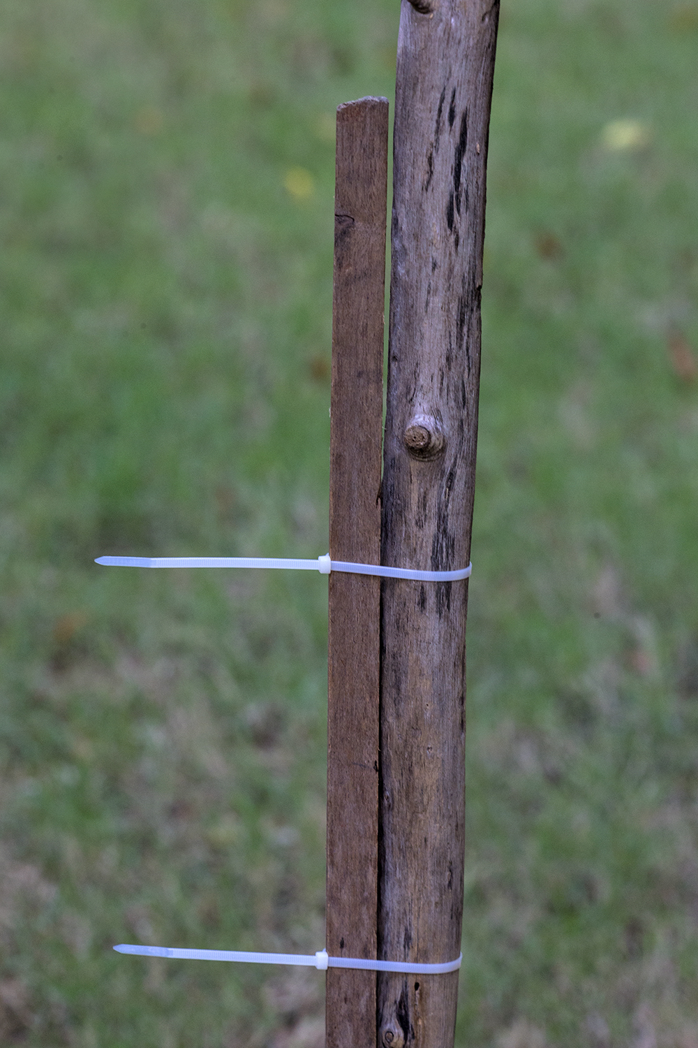 Pertinent perches are paramount