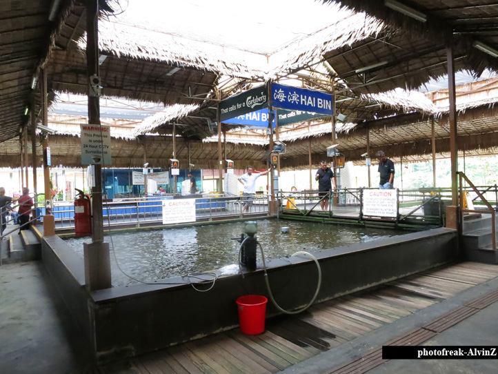 AlvinZ's Photo blog: Prawning day at Punggol Haibin (27 Jun 2012)