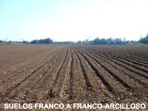 EL CULTIVO Y LAS PROPIEDADES DE UN SUELO FERTIL: EL SUELO FERTIL