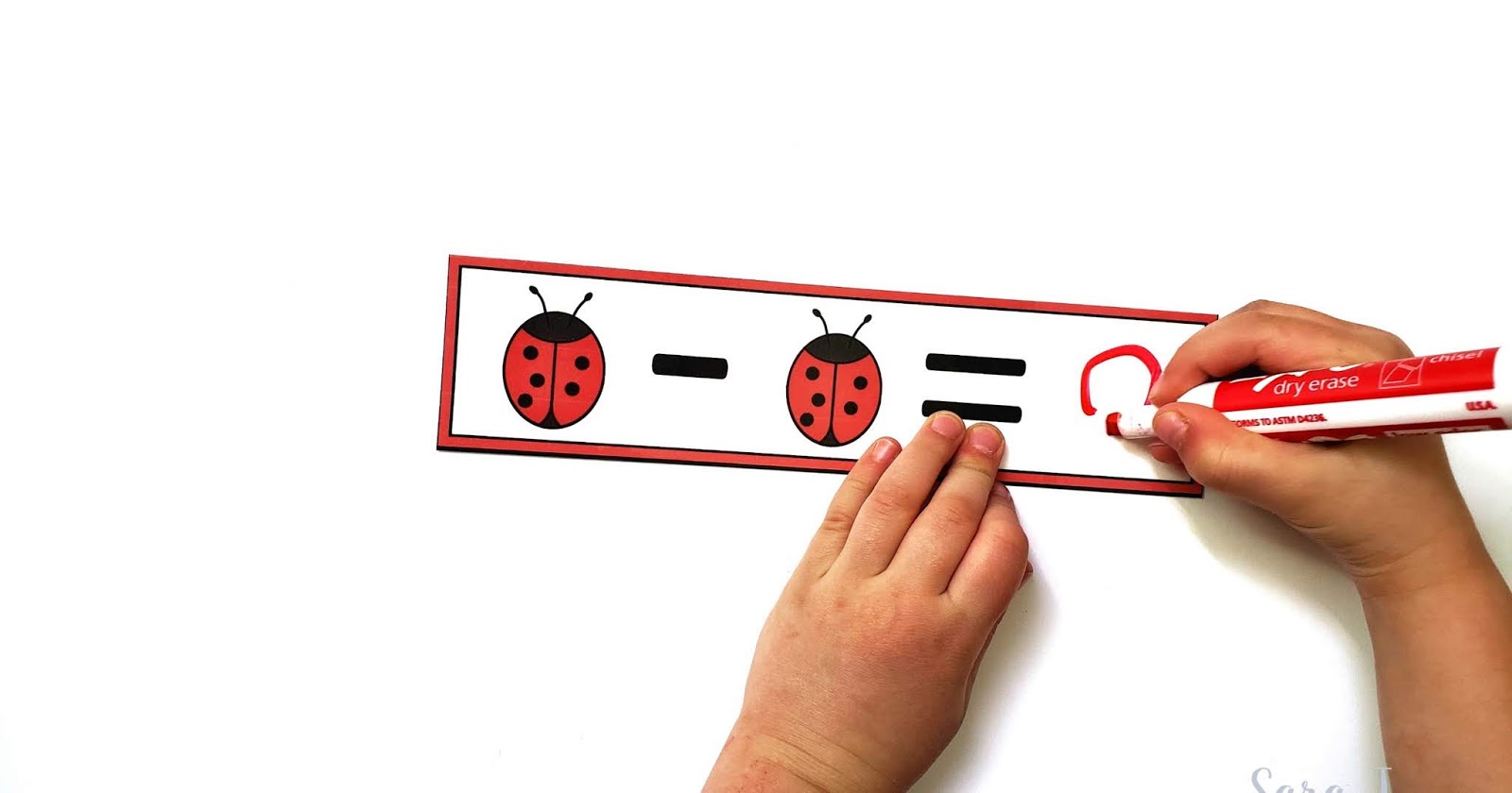 Ladybug Subtraction Write and Wipe Cards | Sara J Creations