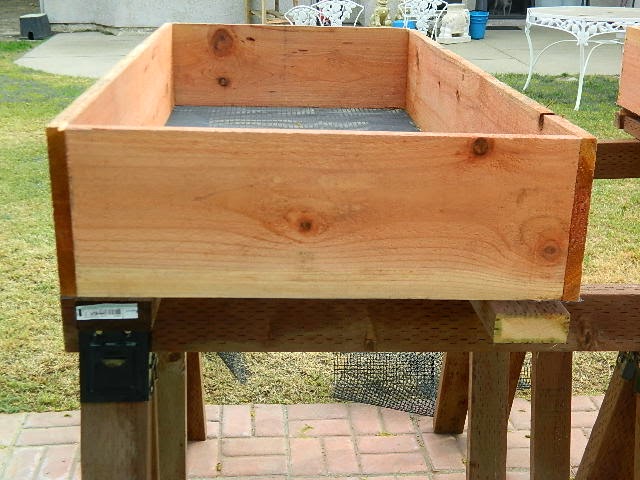 Pushing the Rose Envelope: Seedling tables