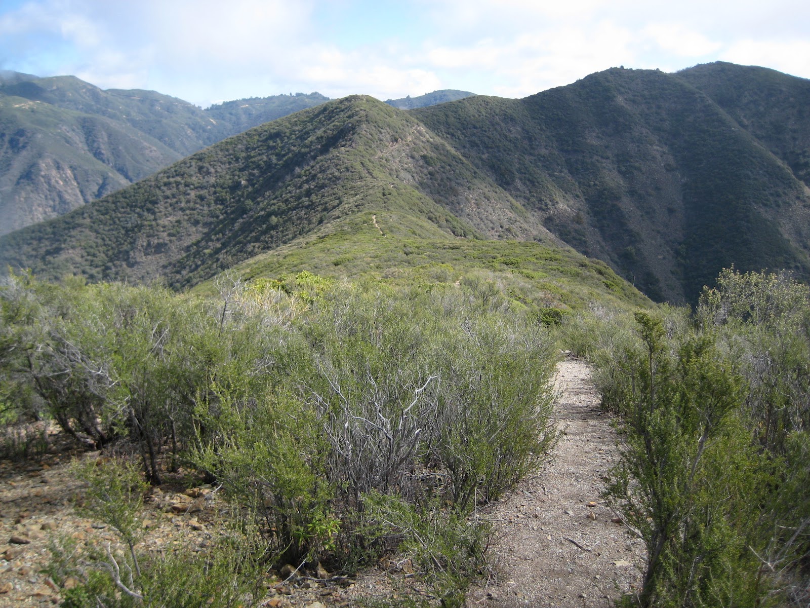 The Mountaineering Review: Pinos Peak via Bell Ridge