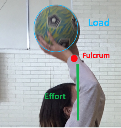 What are the most effective Biomechanics for a netball shot?