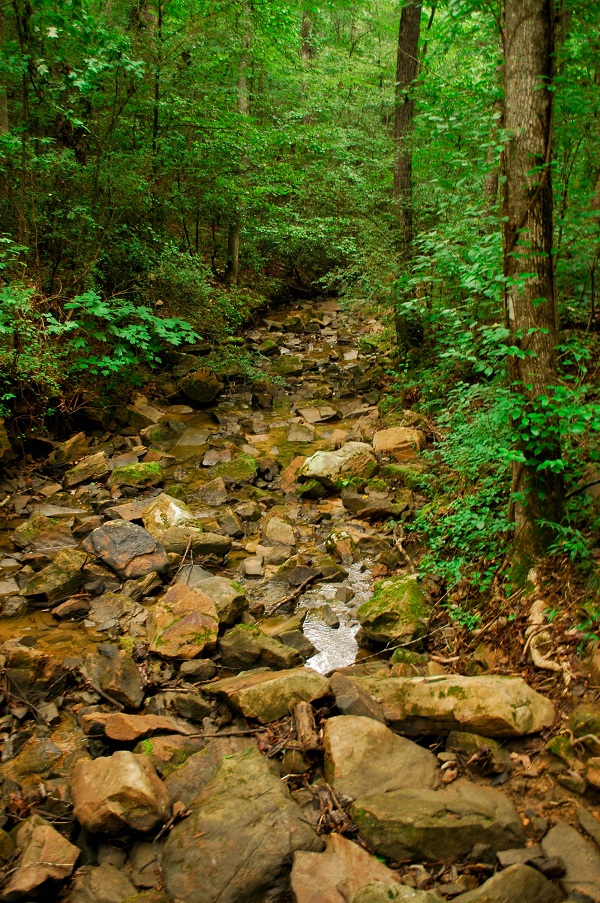 One State, Two Boys: Moss Rock Preserve - Hoover, Alabama - July 15, 2011