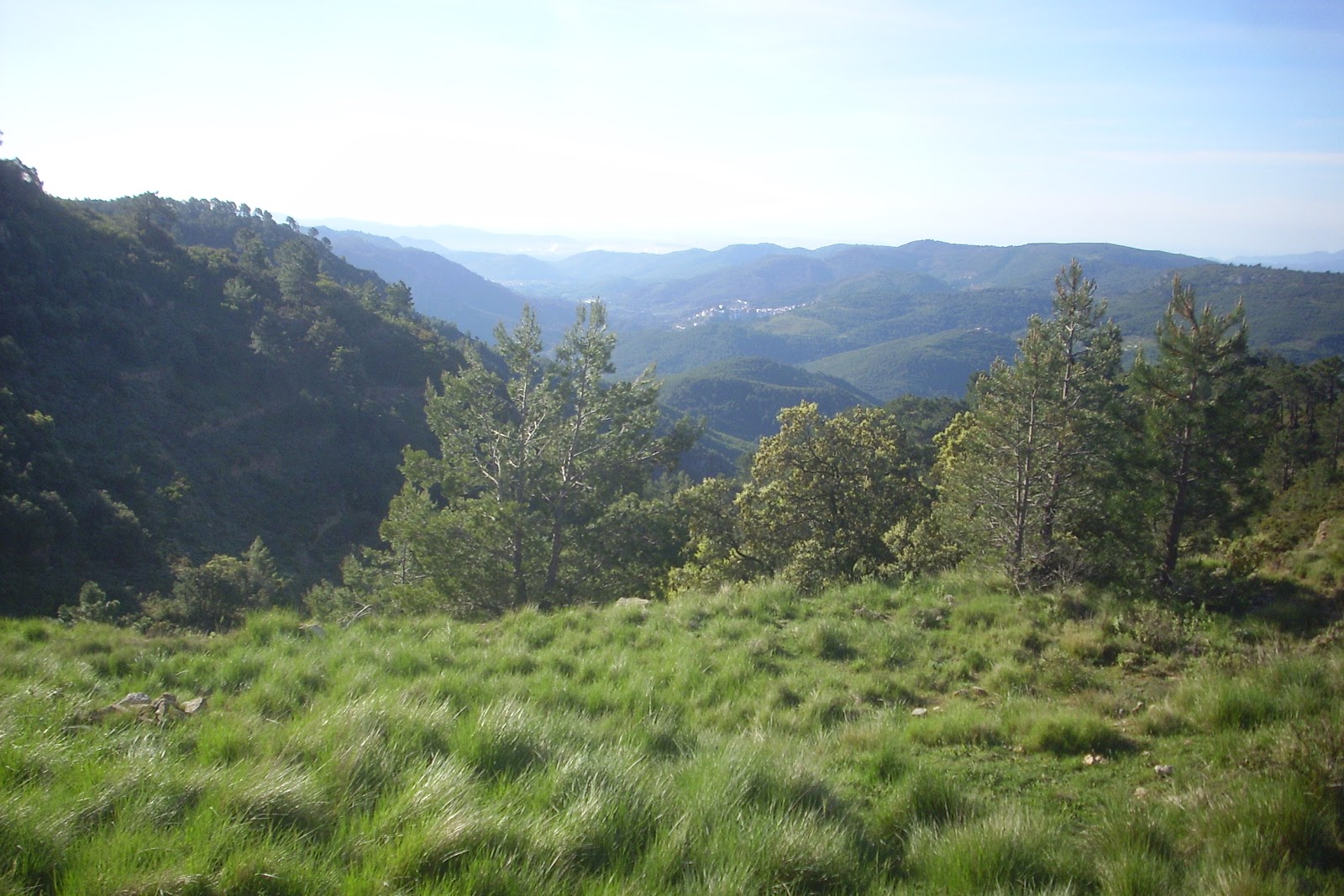 goterris: DEL MAS DE LA COSTA A LA LLOMA SALTADORA