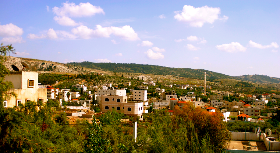 Ramblings of a Palestinian-American Girl