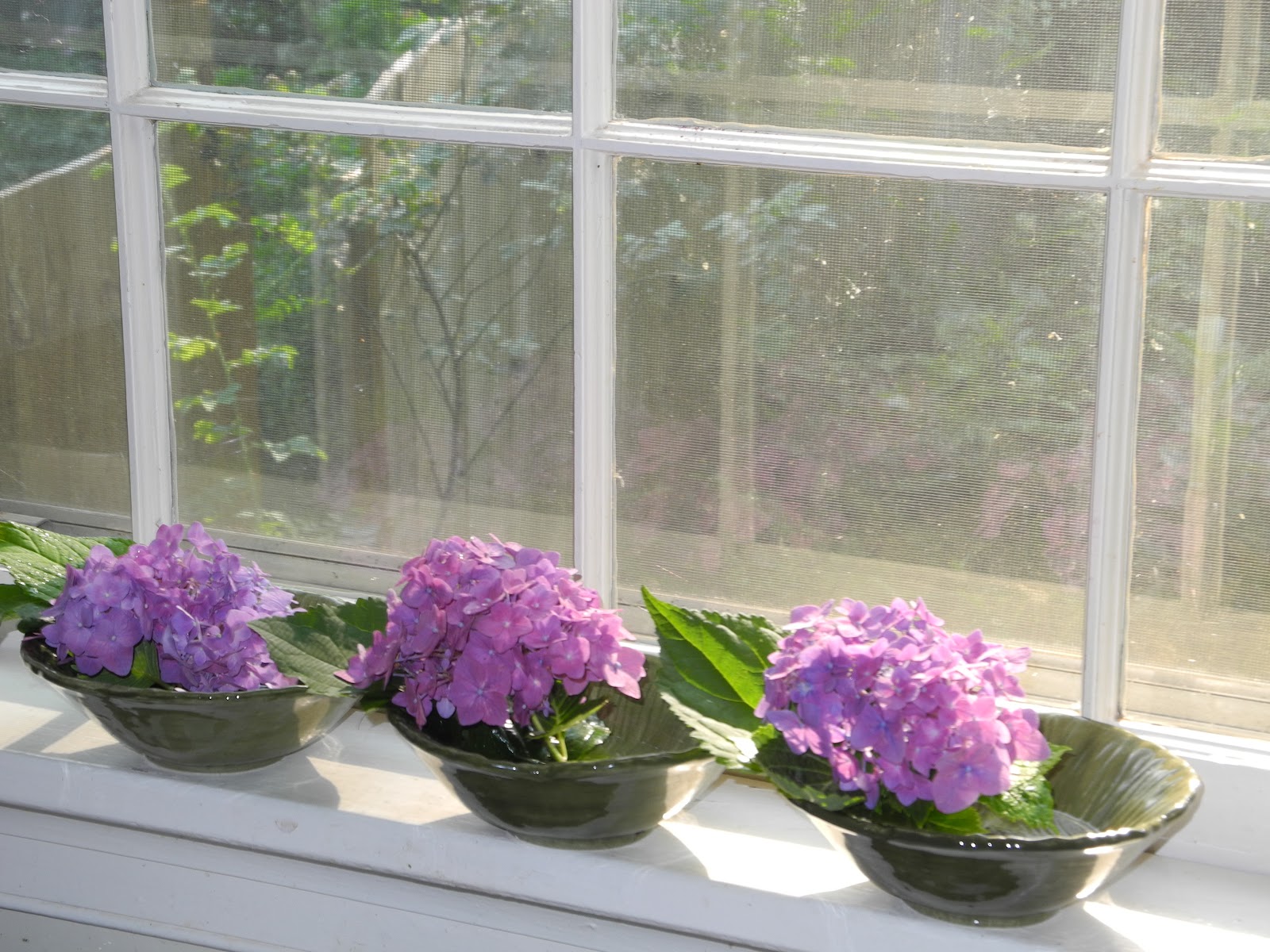 Windowsill Arranging: June 19, 2012 -- more hydrangeas